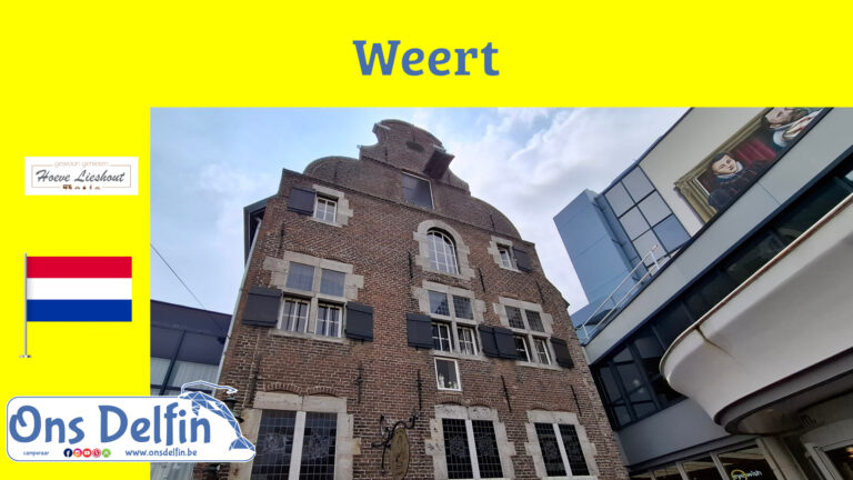 Weert - Ons Delfin